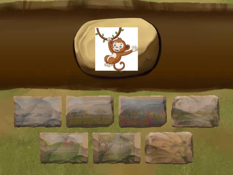 Animal Habitat Explorer - Найди пару