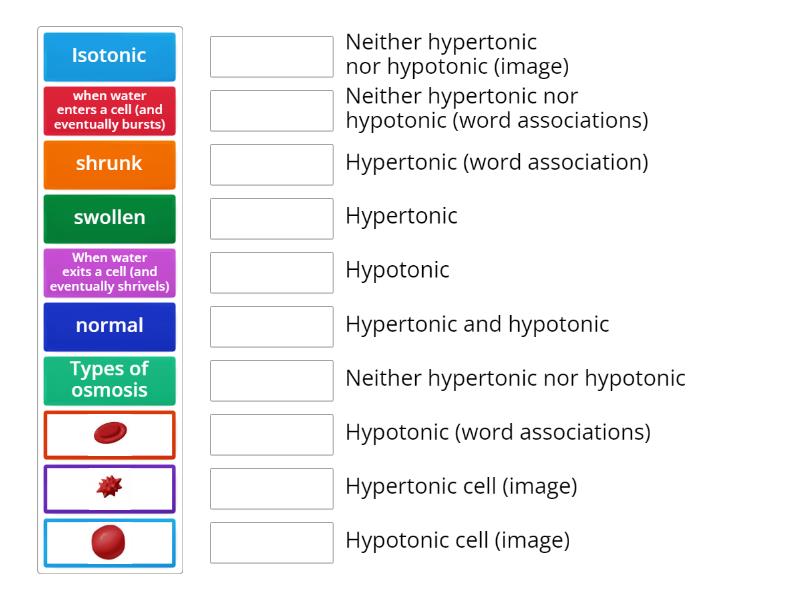 HYPERTONIC AND HYPOTONIC - Match up