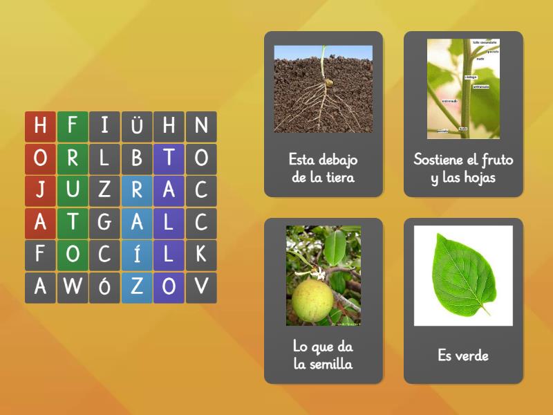 PARTES DE UNA PLANTA - Sopa de letras