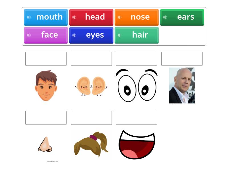 face vocabulary - Match up