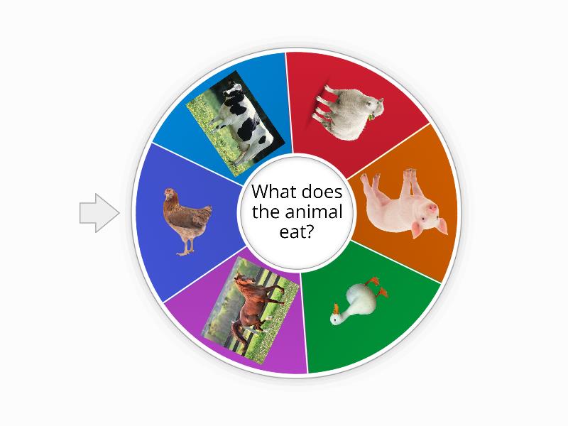 What do farm animals eat? - Spin the wheel
