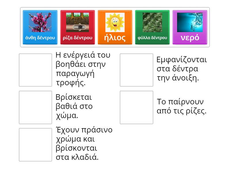 Τα βασικά στοιχεία του δέντρου - Match up