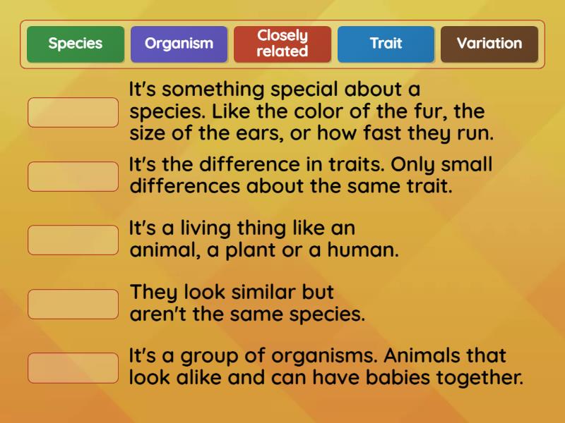 Amplify_grade 3_Unit 1_Matching - Match up