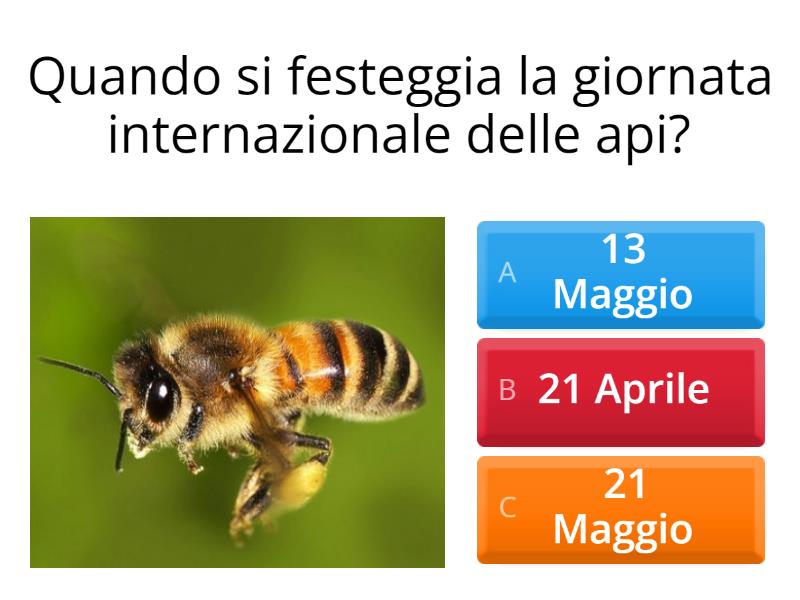 sulle api - Quiz