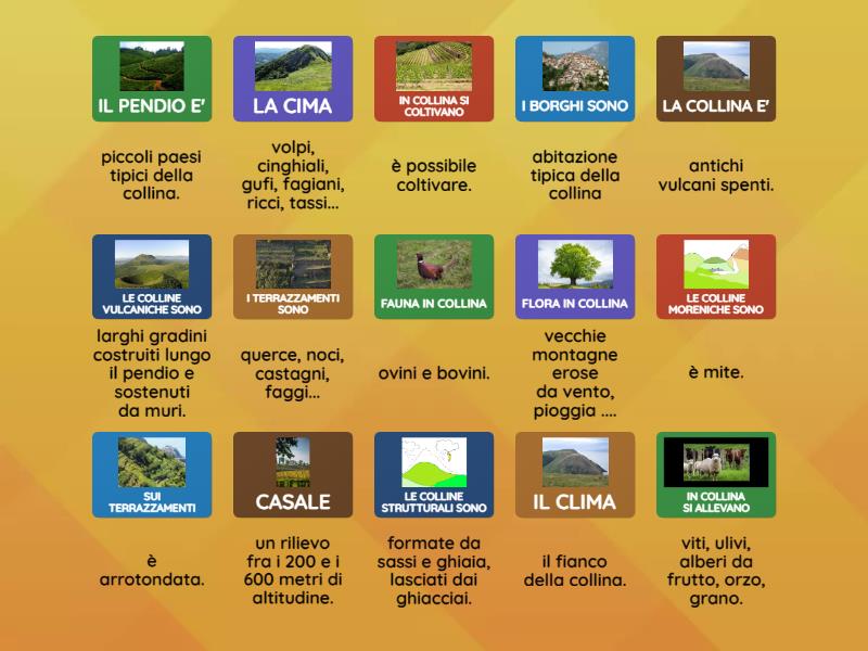 La collina: caratteristiche - Unscramble