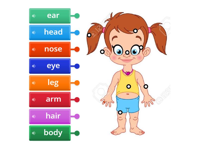 1st Grade-Body Parts - Labelled diagram