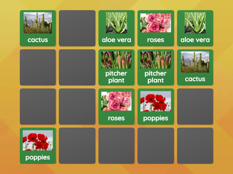 Plants - Matching pairs