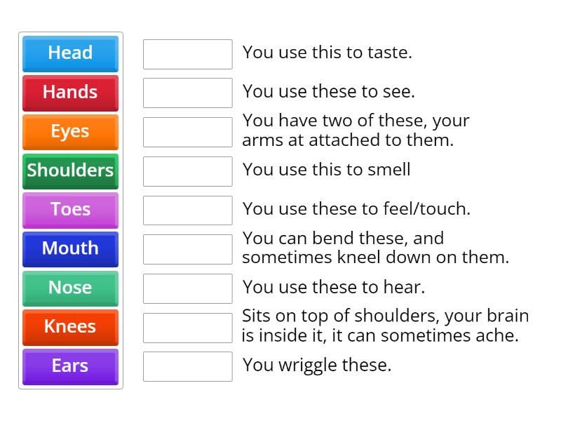 Heads, Shoulders, Knees, Toes, Eyes, Ears, Mouth, Nose - Une las parejas