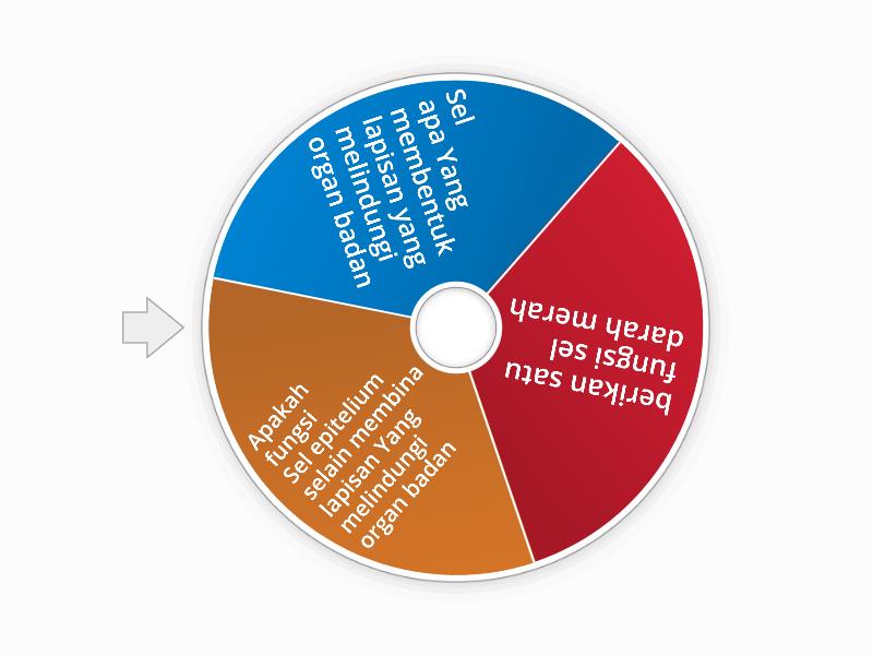 Jenis dan fungsi sel - Spin the wheel
