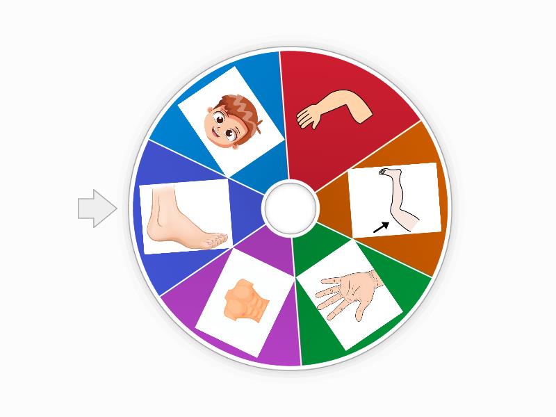 partes del cuerpo - Rueda aleatoria