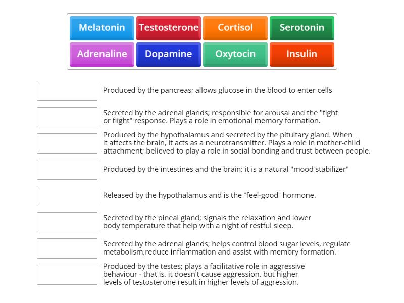Hormones and What They Do - Match up