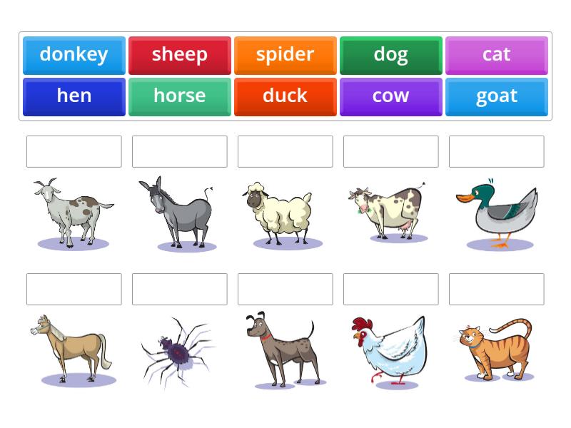 power up 2 Animals - Match up