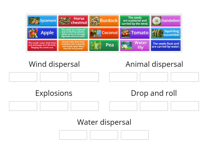 Seed dispersal - Group sort
