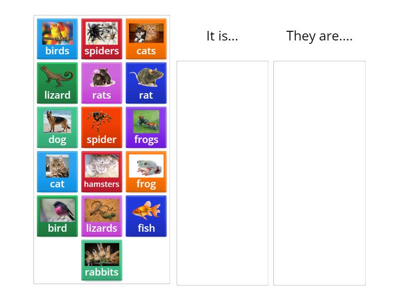 SM1 Unit 3 plural and singular sorting (7th sky do not edit) - Group sort