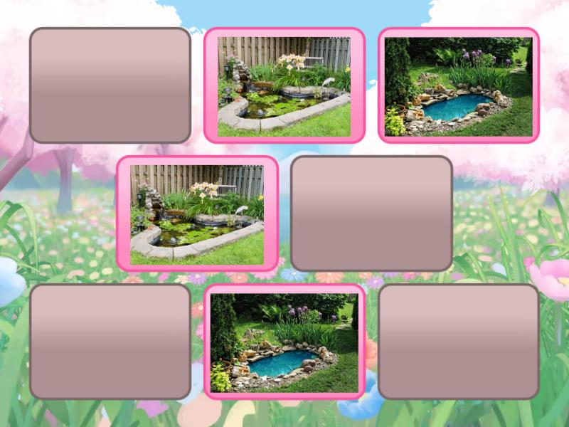 Find the matching pair - Matching pairs