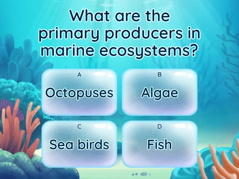Marine Life And Ecology - Quiz