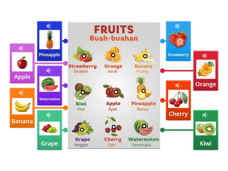Various Fruits - Diagram berlabel