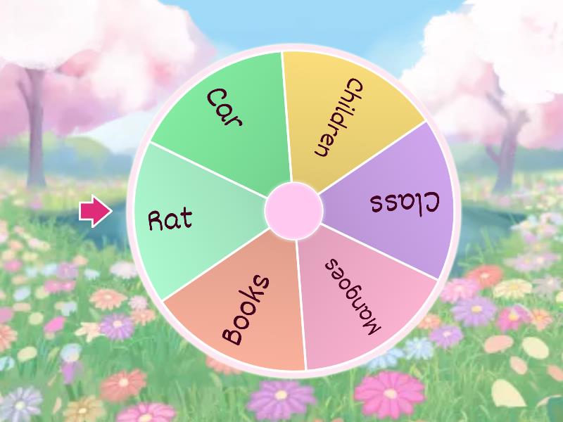 Singular and Plural - Spin the wheel