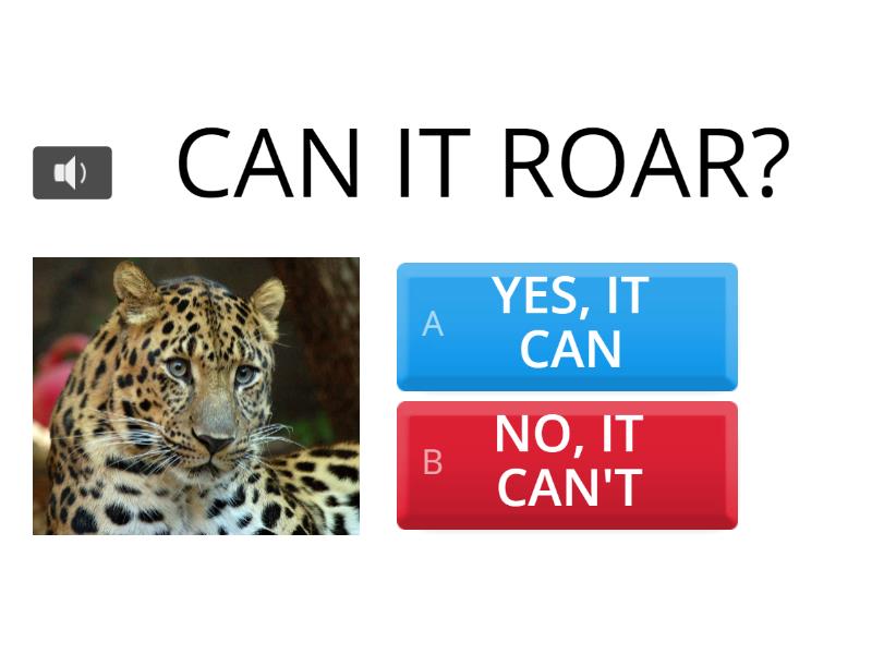 ANIMALS IN THE JUNGLE - Quiz