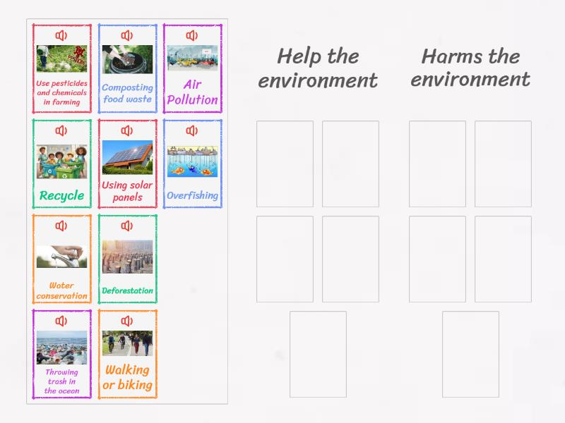 Human activities and the environment - Group sort