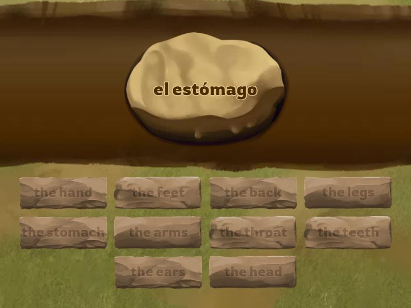 El cuerpo - the body - Find the match