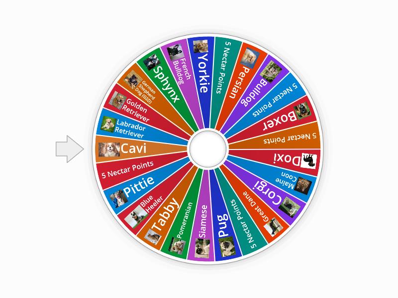 Fun with Breeds - Spin the wheel