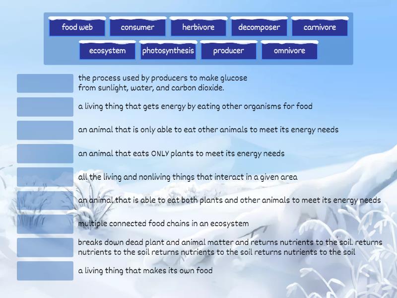 Ecosystem Vocab - Match up