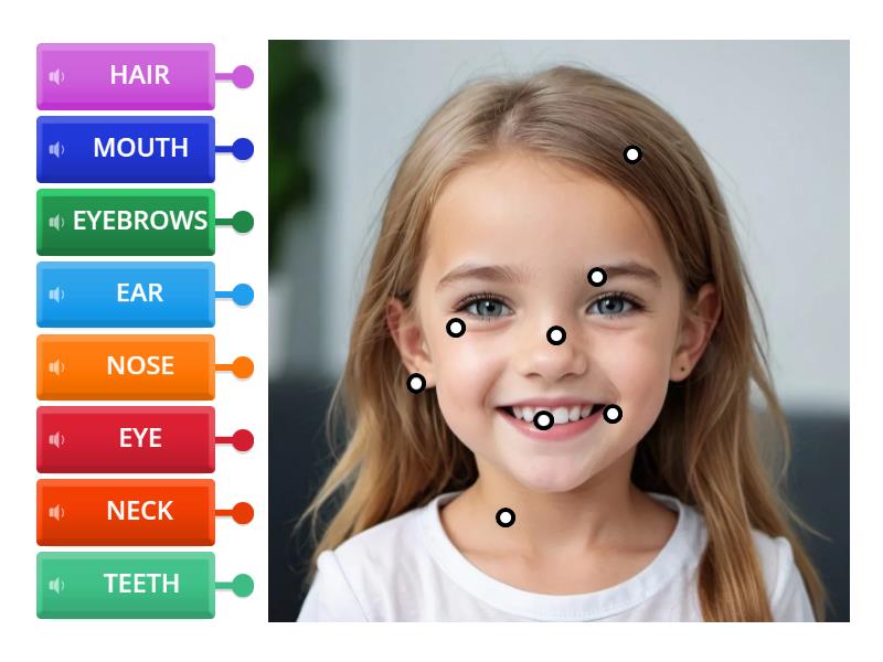 FACE - Labelled diagram