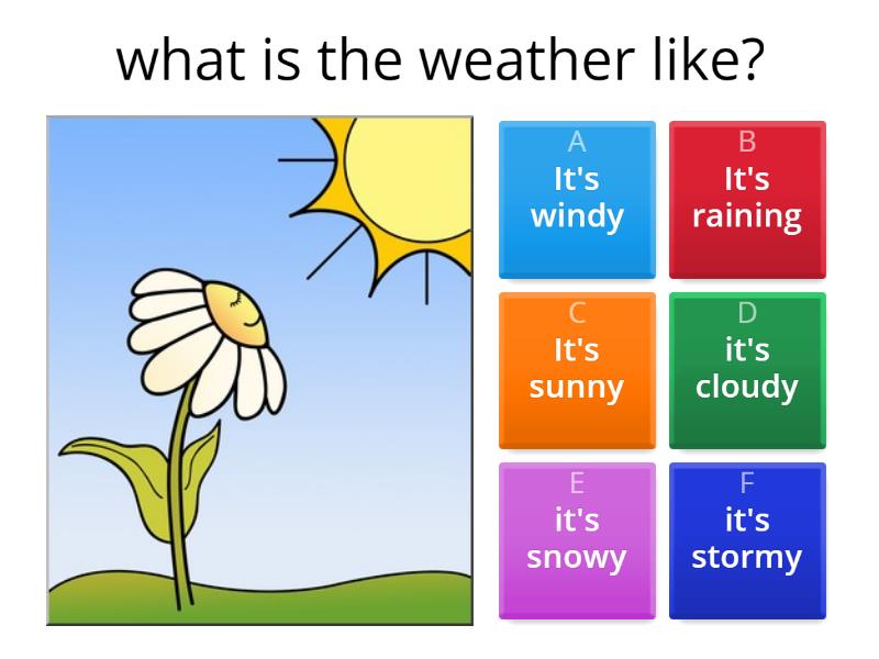 What is the weather like? - Quiz