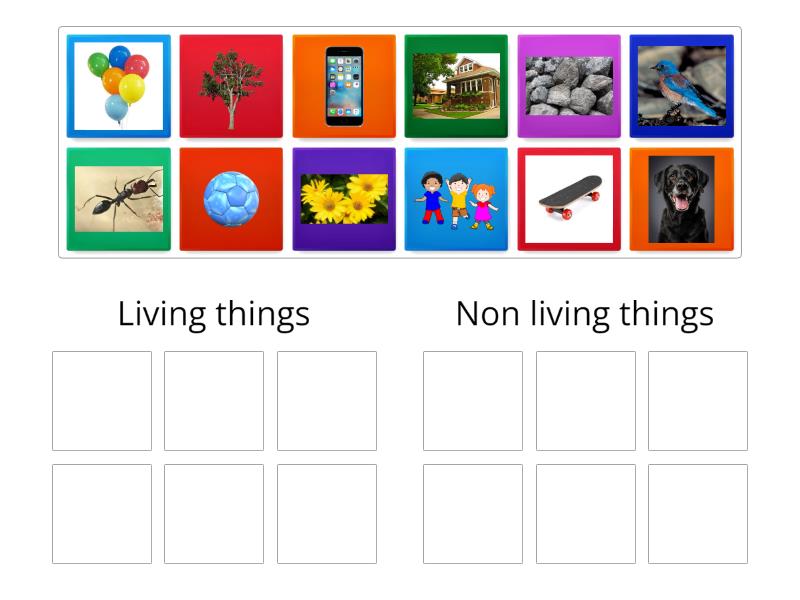 REVIEW: Living things & Non living things - Group sort