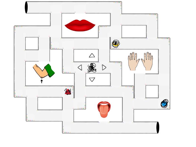 Body parts__ - Maze chase