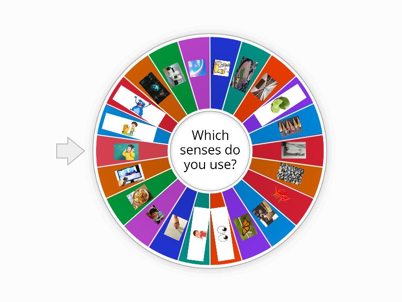 1st Grade- 5 Senses Vocabulary - Spin the wheel