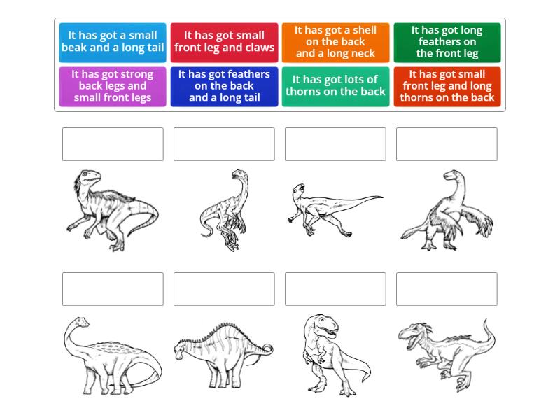 Dinosaurs HAVE GOT 3 - Match up