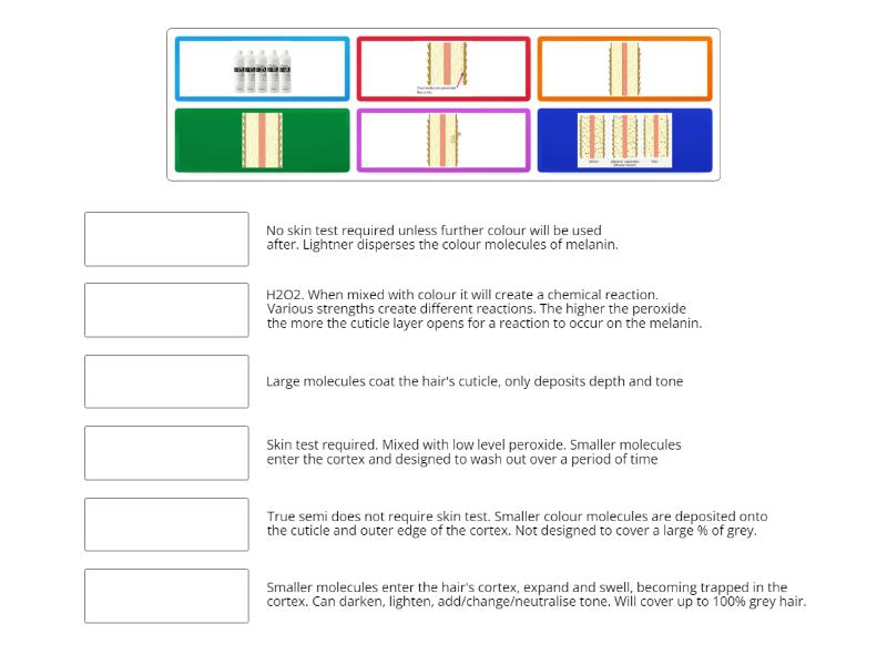 How colour works on the hair structure - Une las parejas