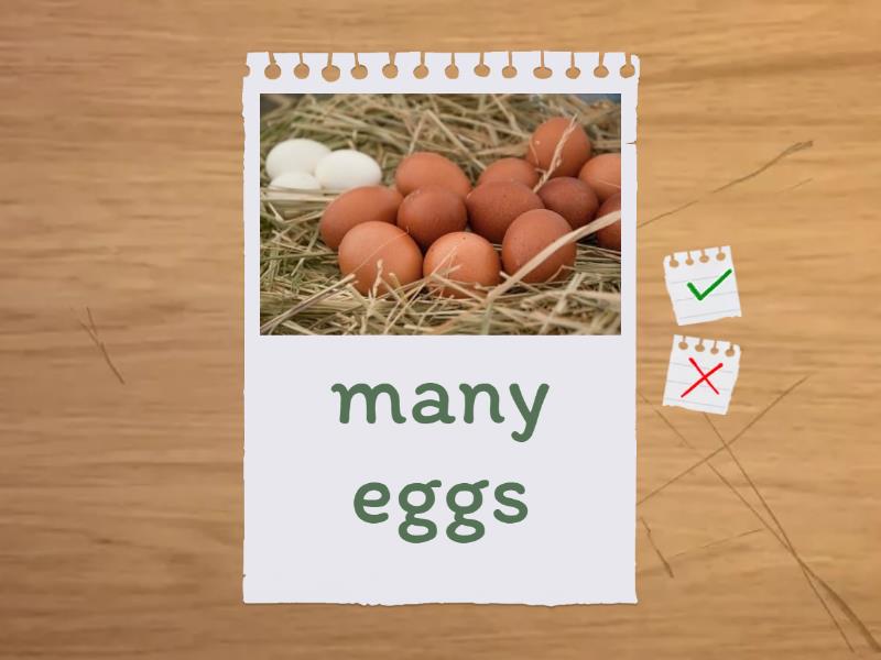 Much and Many - Flash cards