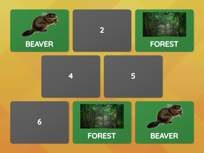 beaver achiever- simple loops - Matching pairs