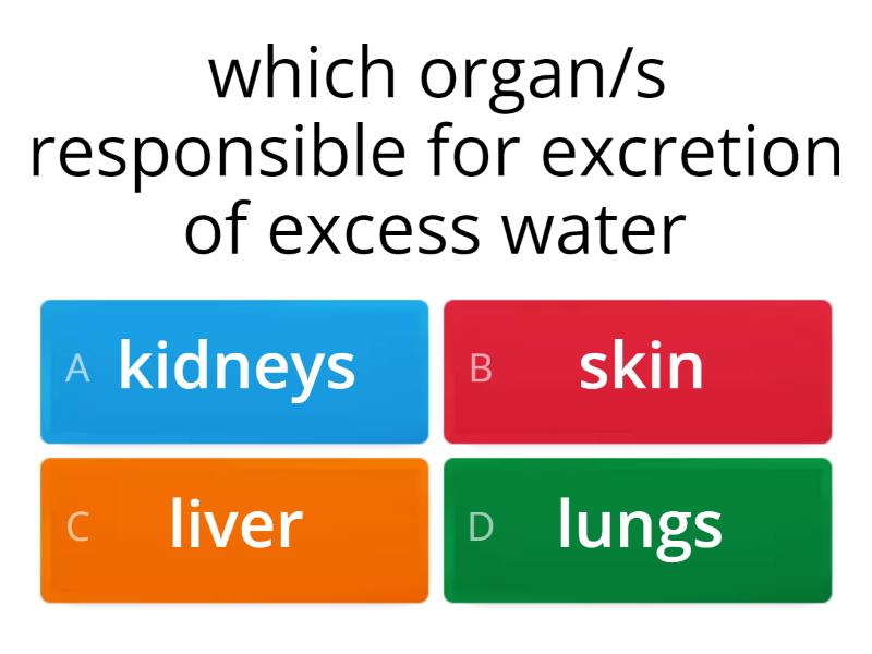 excretion 1 - Quiz