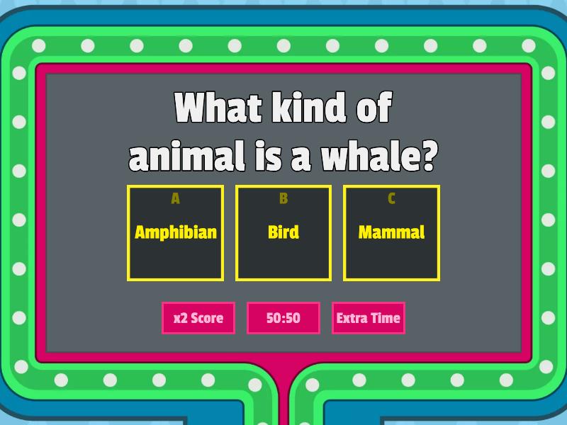 Whales - Gameshow quiz