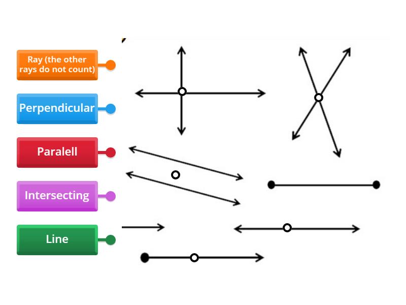 Lines - Labelled diagram