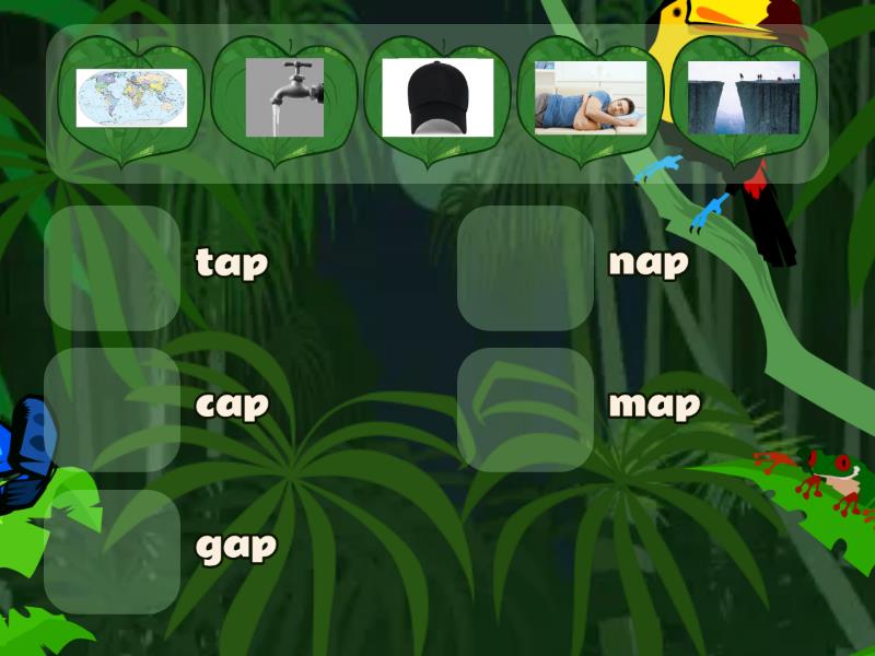 -ap words - Match up