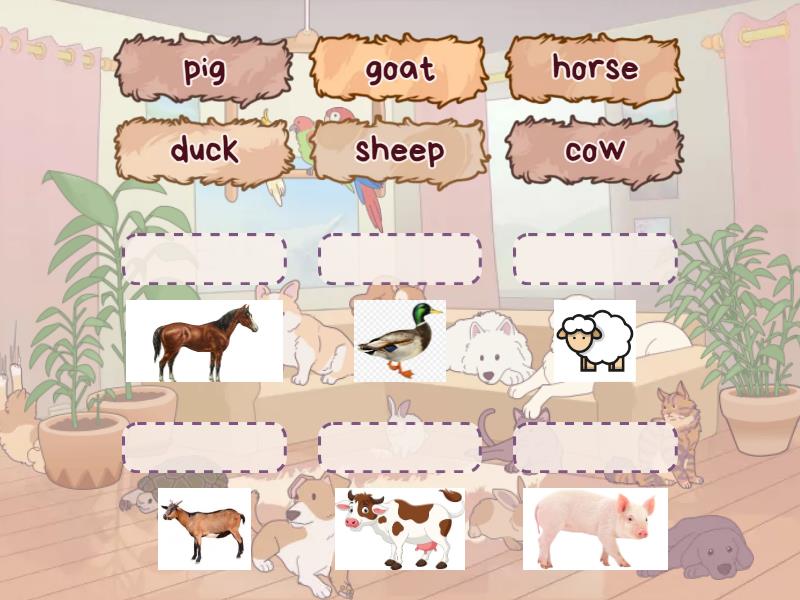 farm animals - Match up