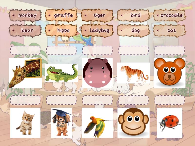 ff starter ( unit 6) - Match up