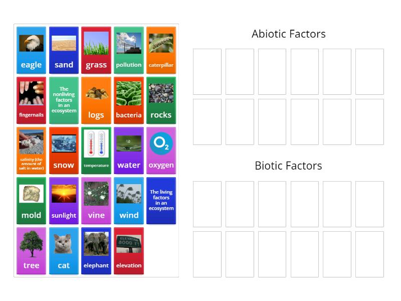 Abiotic vs Biotic Factors - Group sort