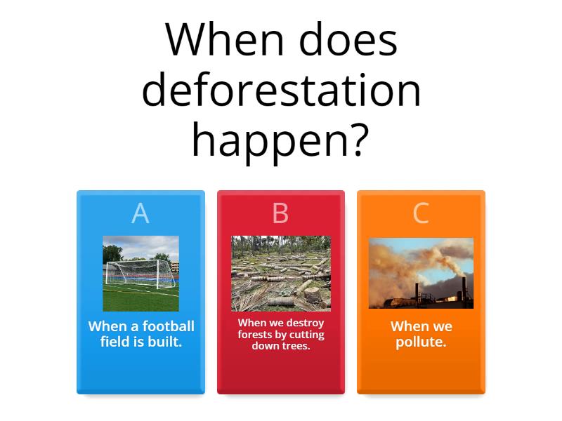 DEFORESTATION - Quiz
