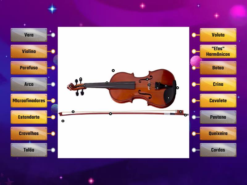 As Partes do Violino - Diagrama con etiquetas