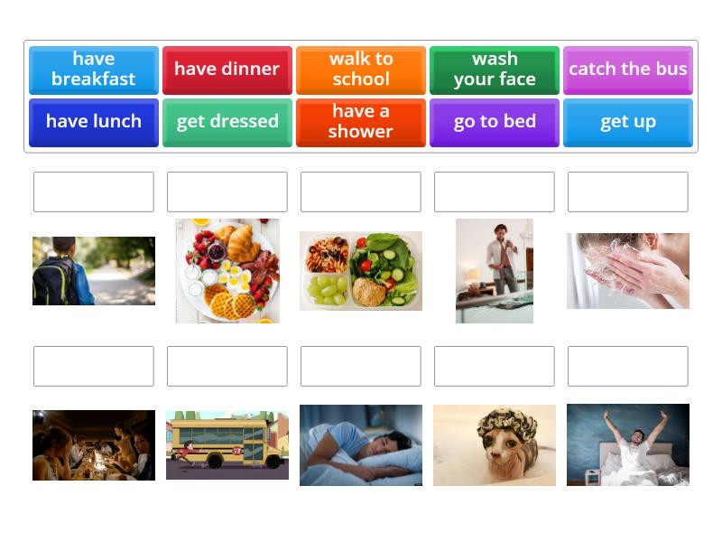 Prepare A1 unit 7 daily routines - Match up