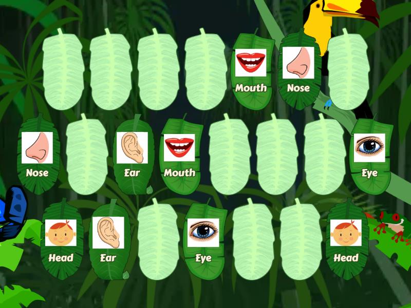 Memory game - Body parts - Matching pairs