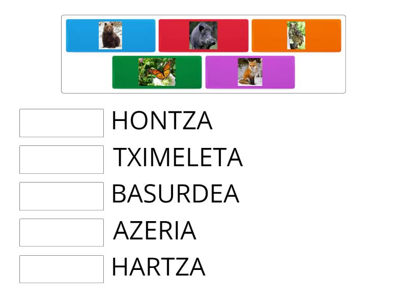 BASOKO ANIMALIAK - Match up