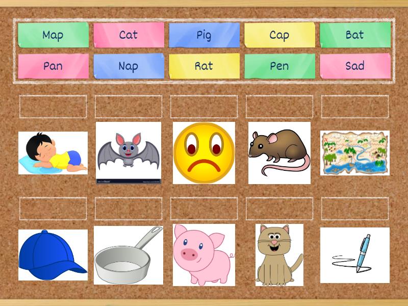 CVC Words - Match up