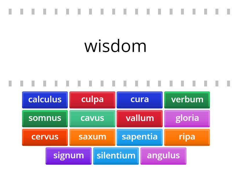 Grammar 5 latin vocab chapter 17 - Find the match